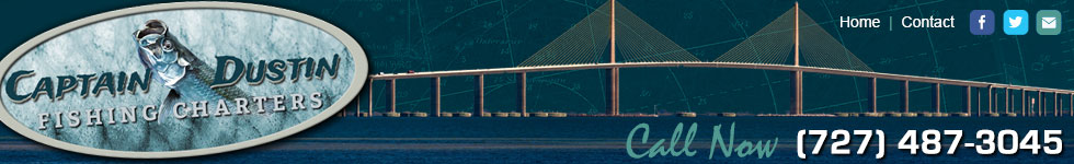 New Port Richey Wind Forecast: wind speed & gusts — Windy.app